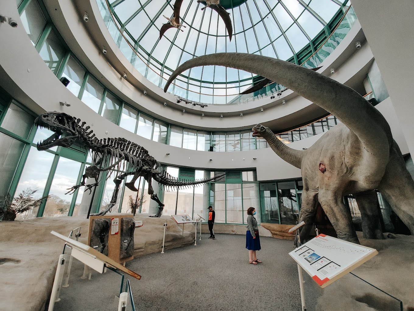 Elon University / Design Forge / Things To Do