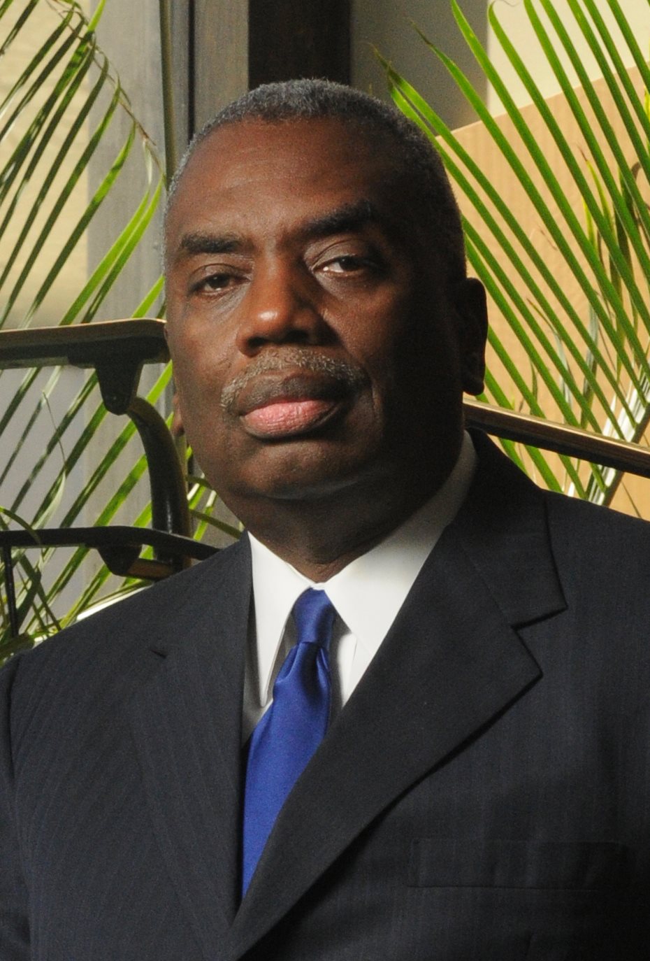 George Johnson discusses national policy and the future of legal ...