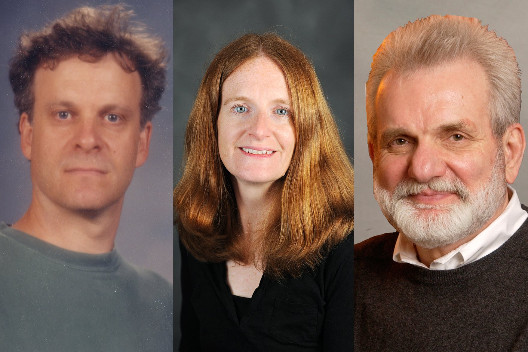 Anne Bolin's Instagram, Twitter & Facebook on IDCrawl