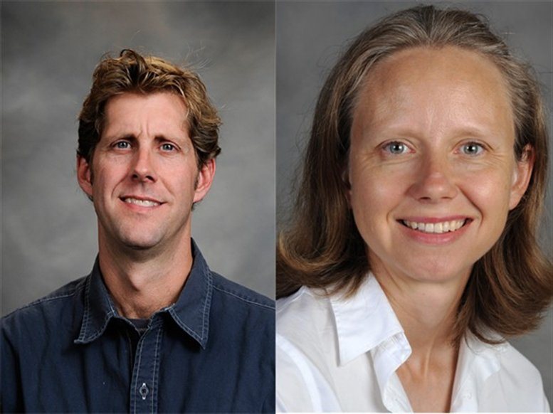 Amanda Sturgill, Phillip Motley publish service learning research ...