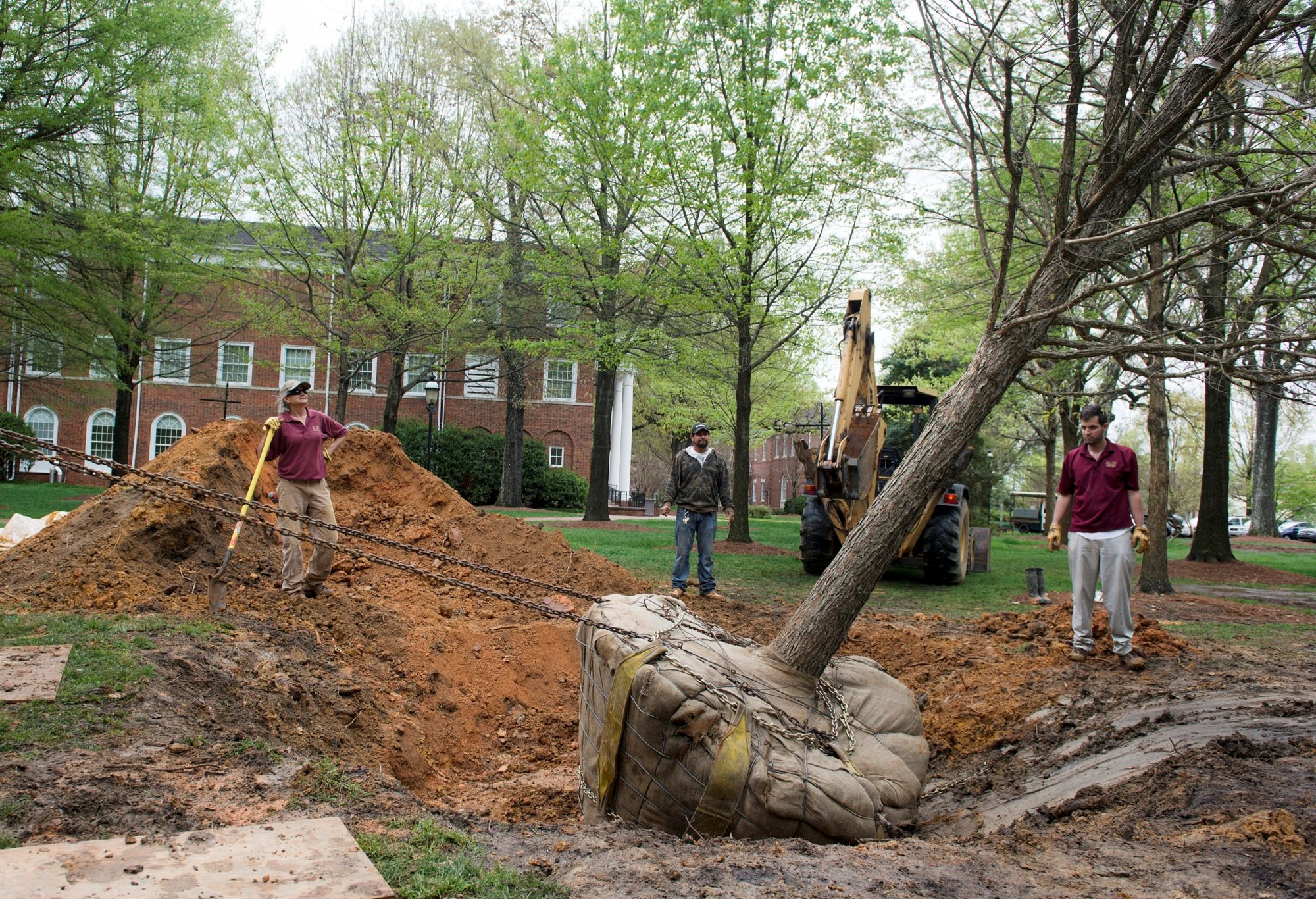 A new arrival Under the Oaks | Today at Elon | Elon University