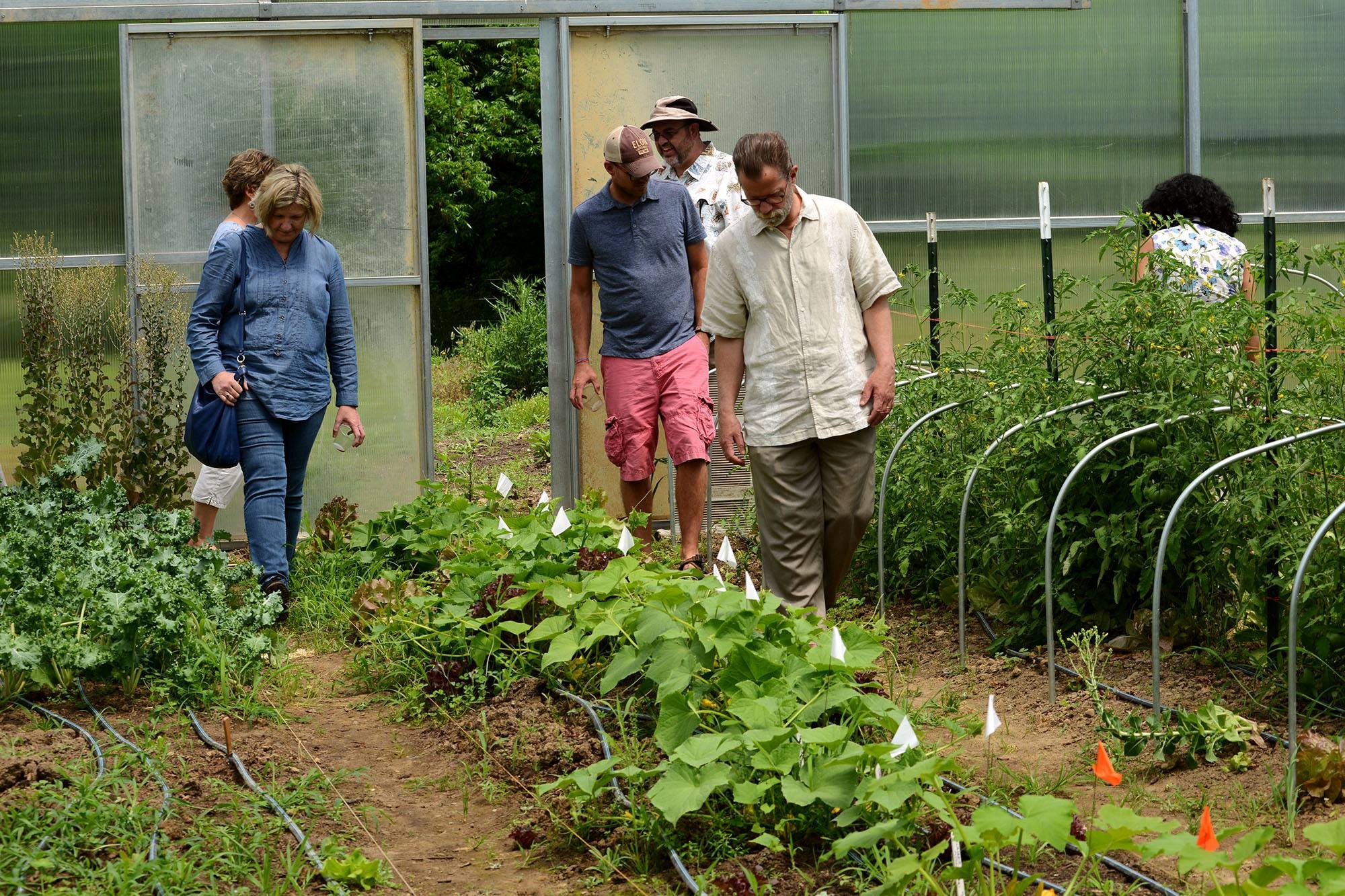 Eight professors named Sustainability Faculty Scholars | Today at Elon ...