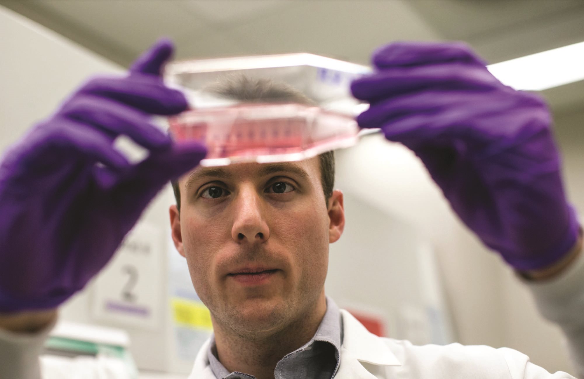 Grounded in science: Alum leading the way in development of vaccine for ...