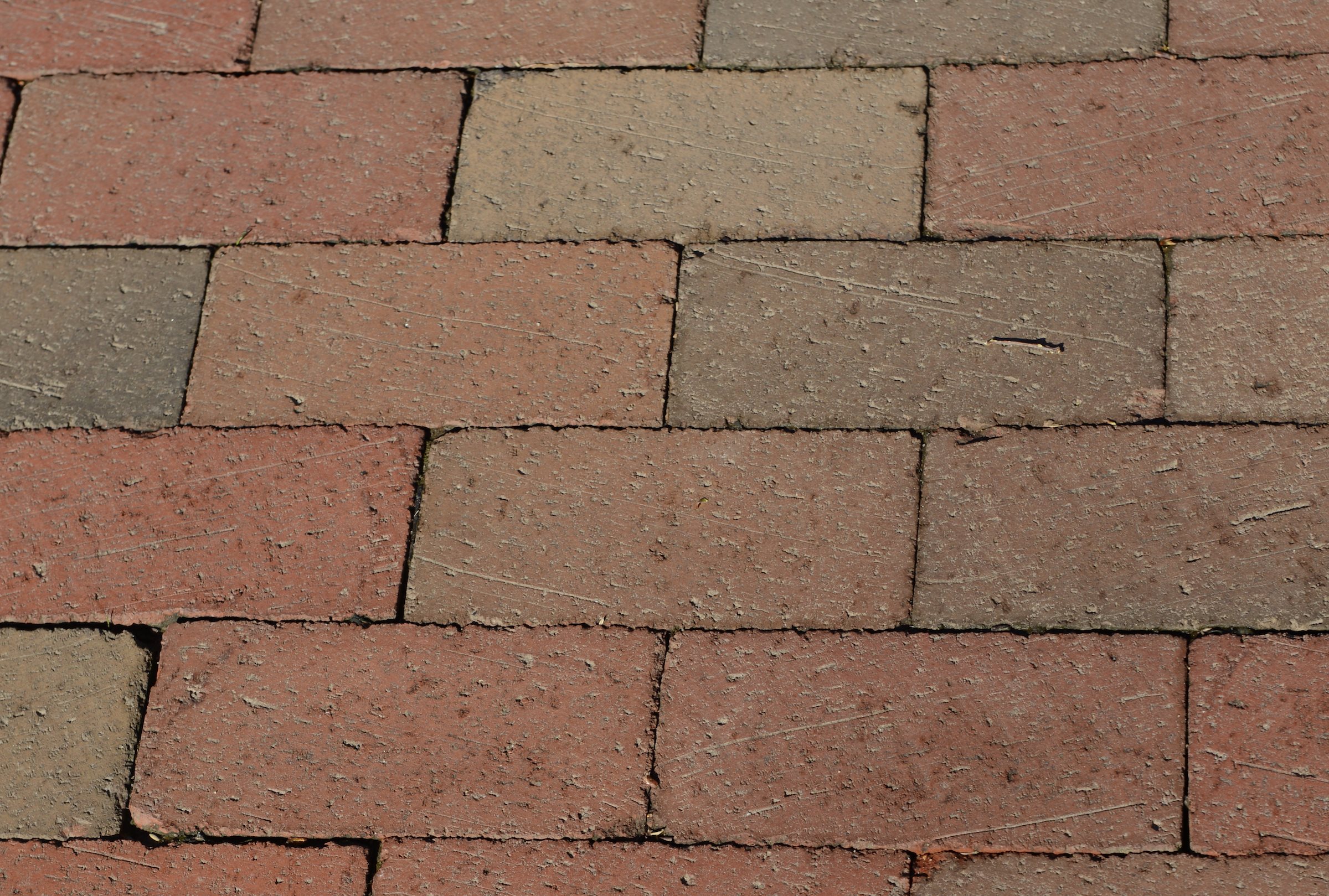 Elon launches brick campaign to honor loyal alumni and senior donors ...