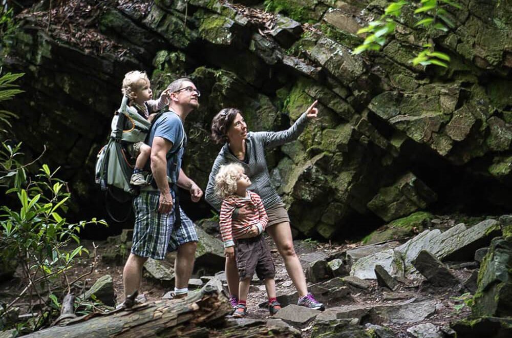 Perry writes in Our State magazine about the 'Heirloom Earth' | Today ...