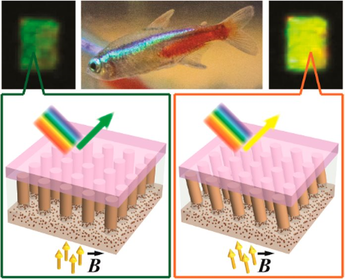Ben Evans co-authors article on magnetically-tunable iridescent films ...