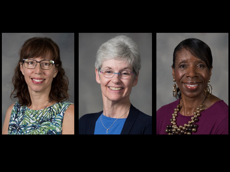 School of Education faculty present at virtual conferences | Today at ...