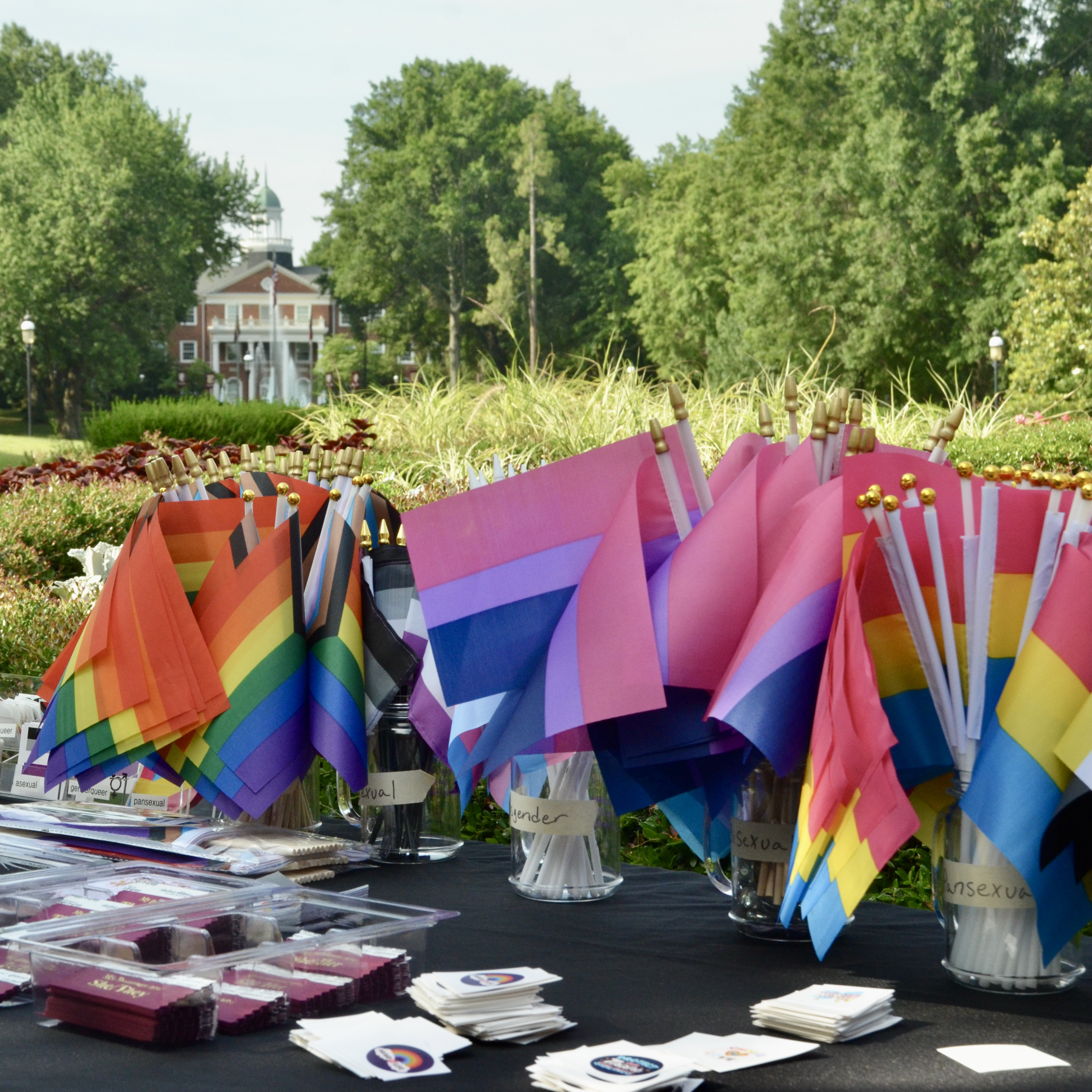 Resources and recommendations for celebrating Pride Month | Today at ...
