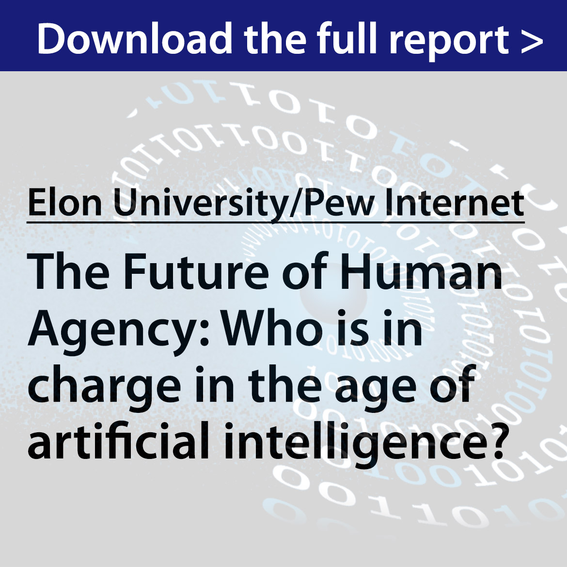 Elon University / Imagining the Internet / The Future of Human Agency